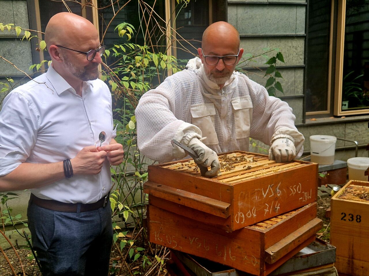 Es schwirrt und summt im SMWA - #ZUKUNFTblog - sachsen.de